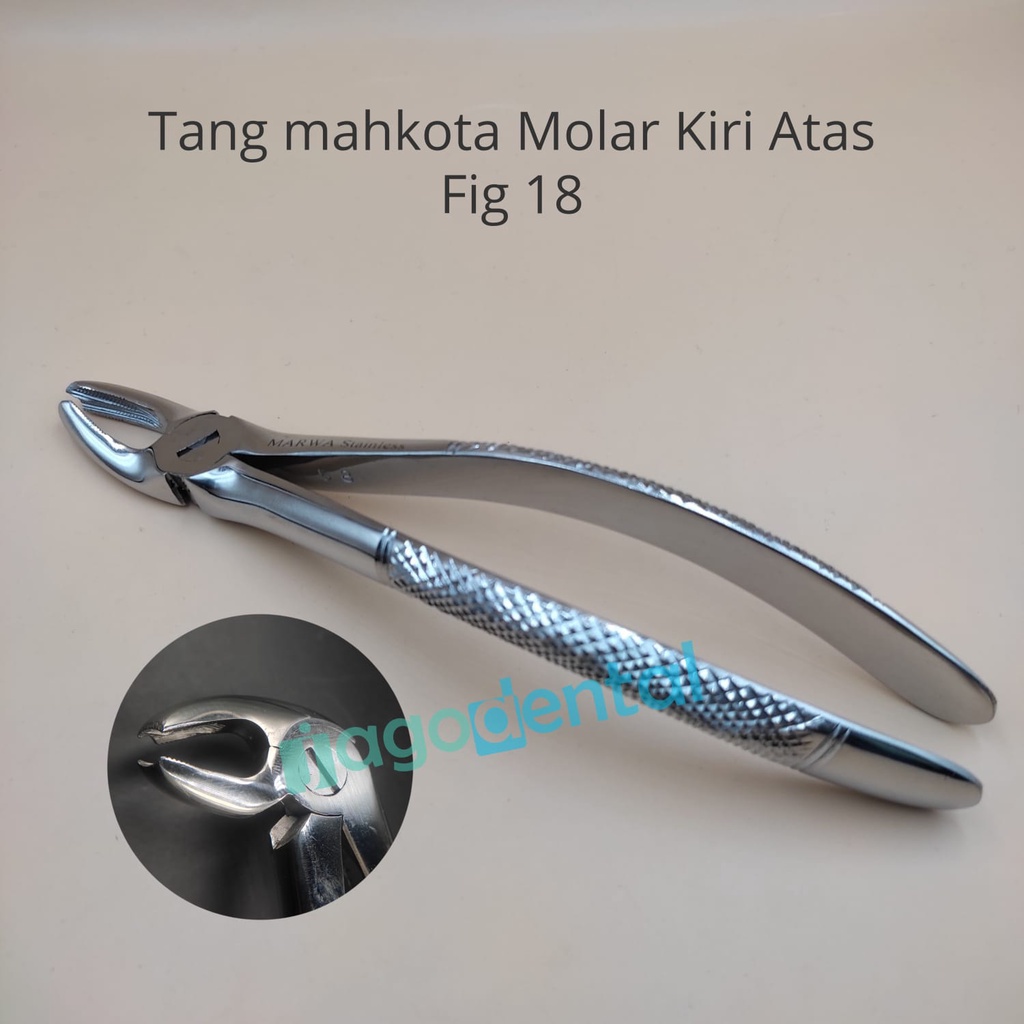 Jual DENTAL TANG CABUT GIGI DEWASA SATUAN TOOTH FORCEP / FORCEPS / TANG ...