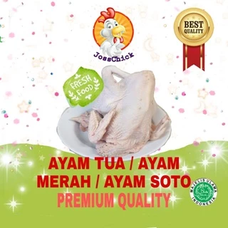 Jual Ayam Merah Terlengkap & Harga Terbaru Mei 2024 | Shopee Indonesia