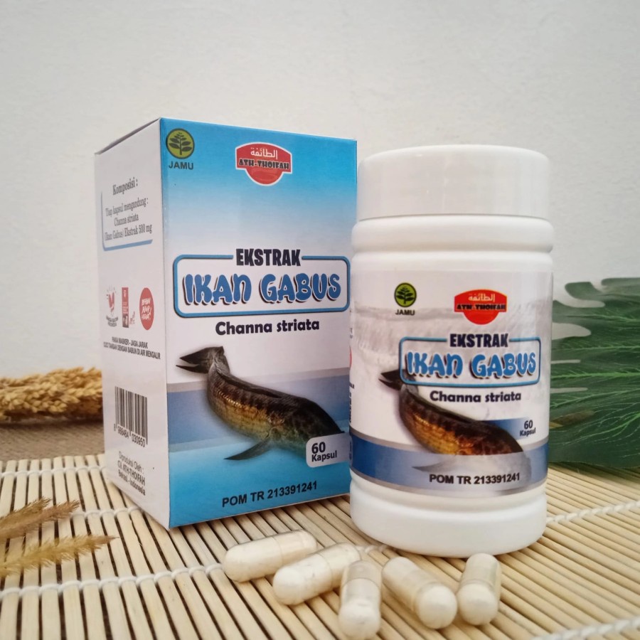 Jual Ekstrak Ikan Gabus 60 kapsul natural asli channa striata albumin Athoifah | Shopee Indonesia