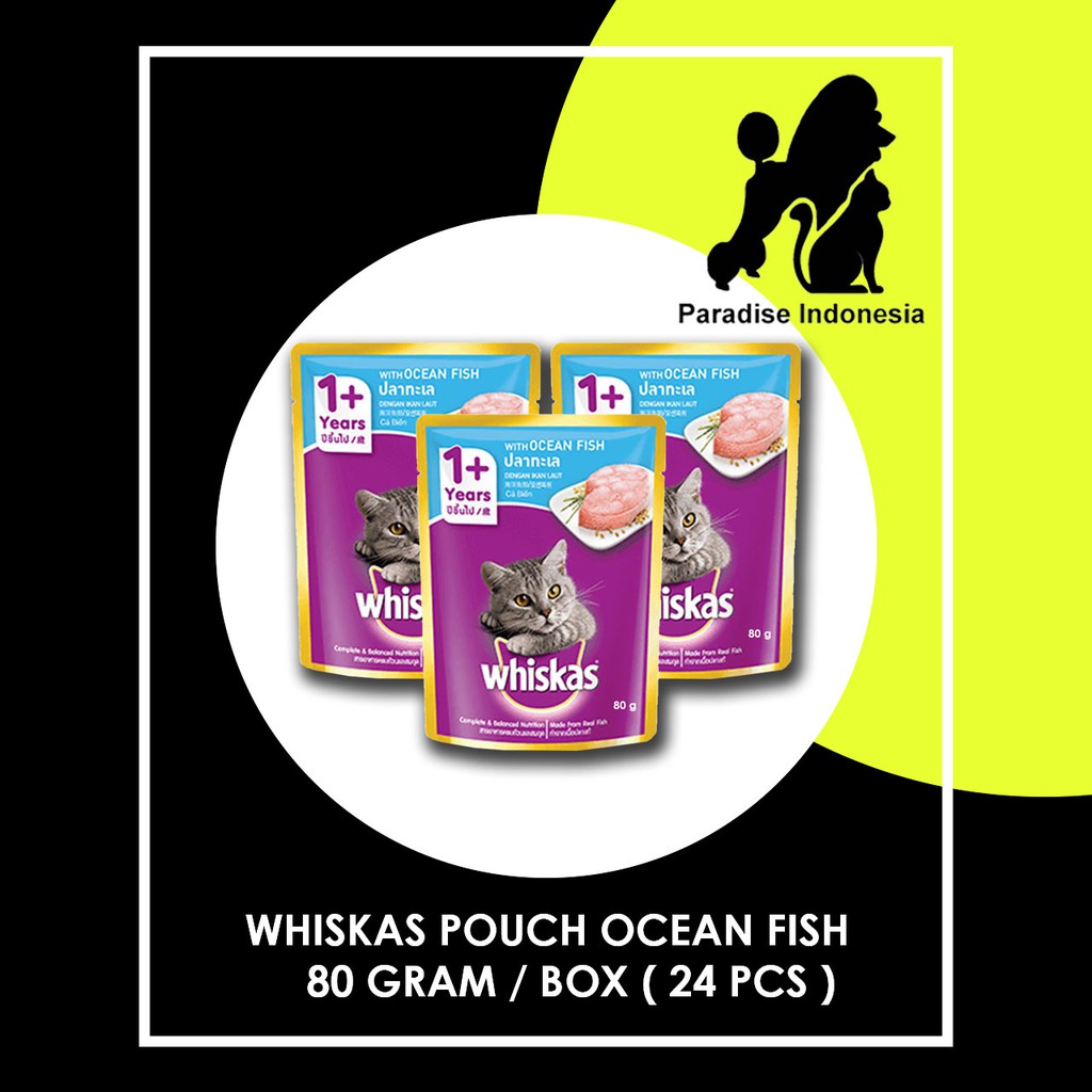 Jual whiskas pouch ocean fish 80gr / box ( ISI 24pcs ) | Shopee Indonesia