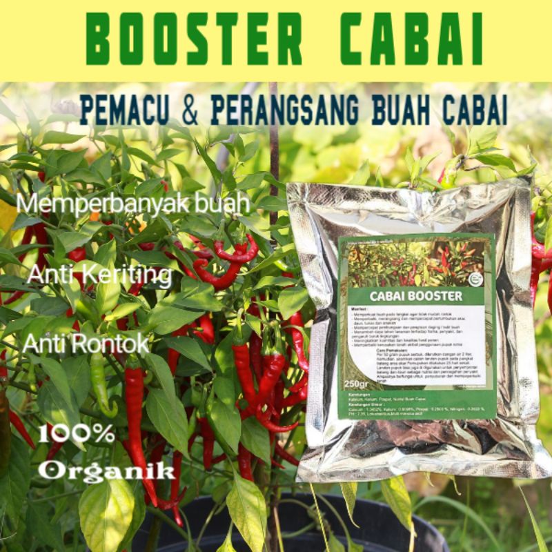 Jual Pupuk Booster Organik Cabe Agar Cepat Berbuah Lebat Anti Keriting Ampuh,Pemacu Dan ...