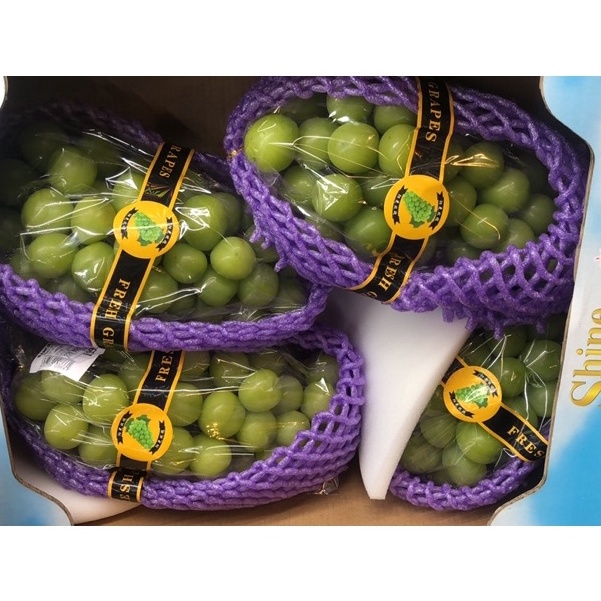 Jual Anggur Shine Muscat Fresh Jumbo 1 pack | Shopee Indonesia