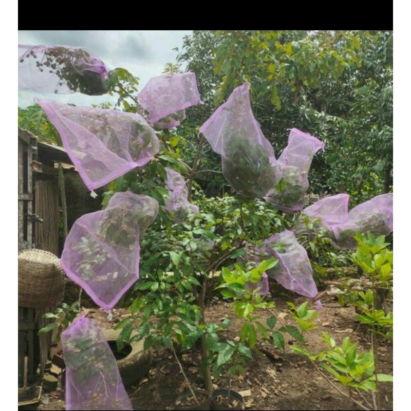 Jual Kantong Waring Jaring Media Filter Kolam Aquarium Koi Bioball Bio ...