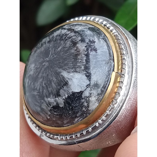 Jual Batu Garut Gunung Jampang ( Batu Akik Fosil Kayu - bukan bacan ...