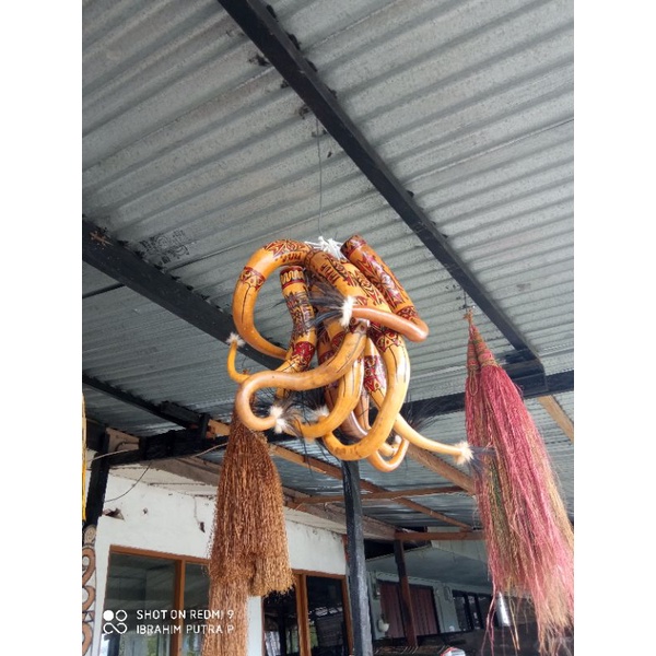 Jual koteka papua oleh oleh khas dari papua | Shopee Indonesia