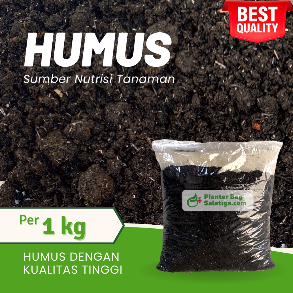 Jual Humus Organik 1Kg Pupuk Nutrisi Media Tanam Buah Sayuran Subur ...