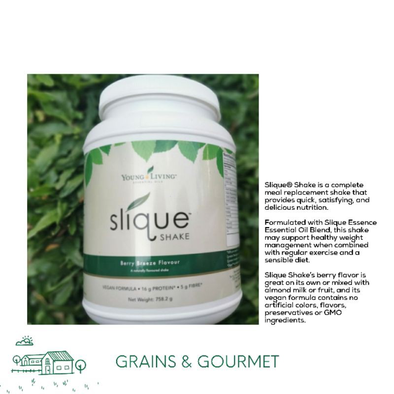 Jual Young Living/YL - Slique Shake (Berry Breeze) | Shopee Indonesia