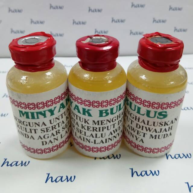 Jual Minyak bulus kalimantan kemasan 25ml untuk membesarkan payudara ...