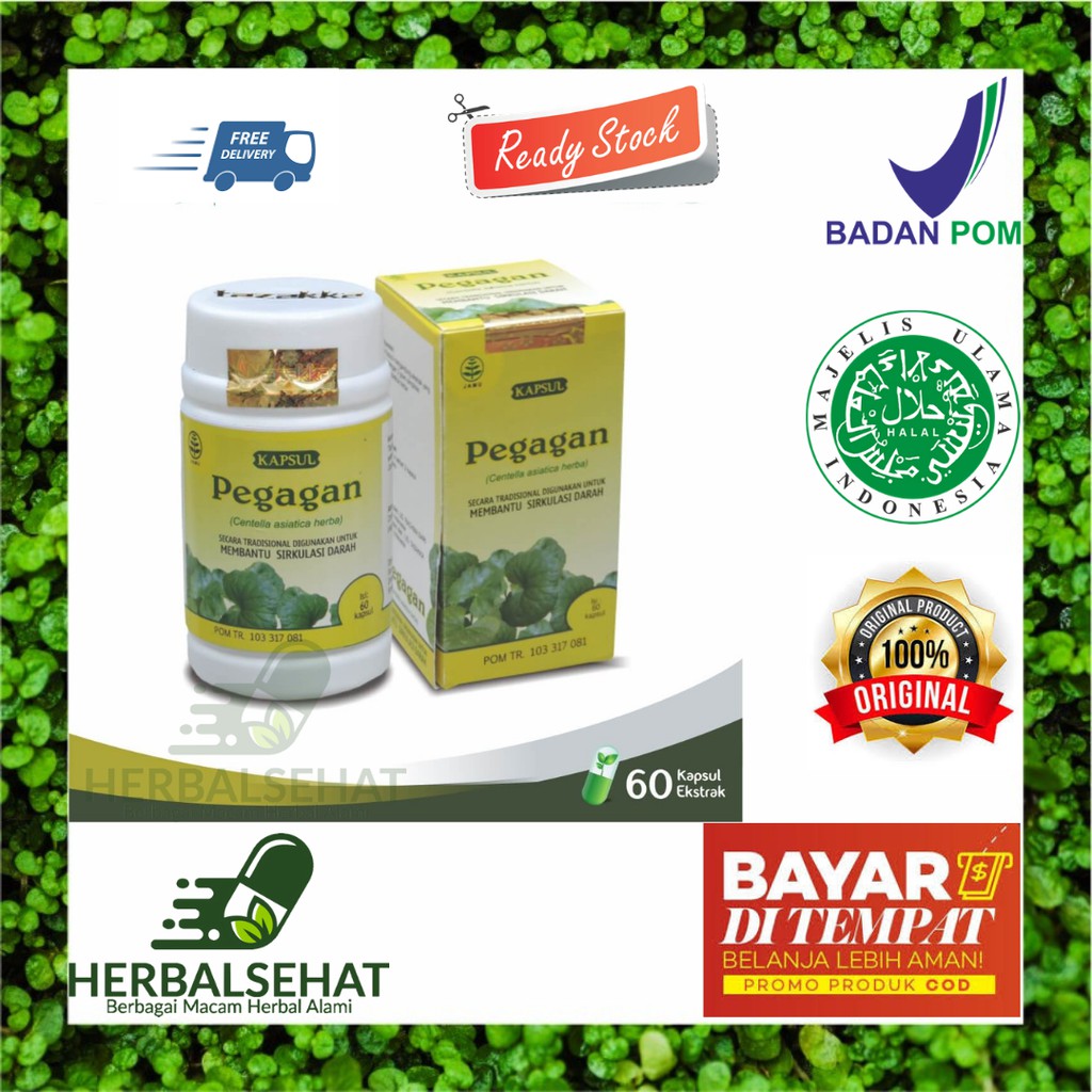 Jual Kapsul Daun Pegagan Ekstrak Herbal Tazakka Official Store 60 Kapsul Obat Daya Ingat Otak ...