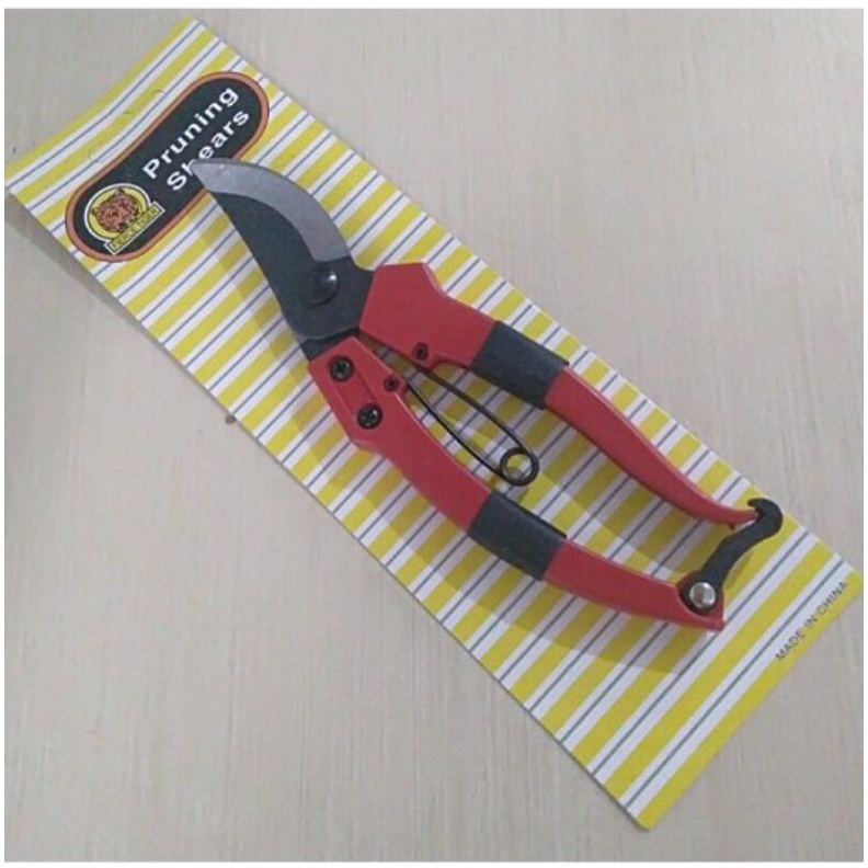 Jual Gunting dahan, ranting pohon , gunting tanaman | Shopee Indonesia