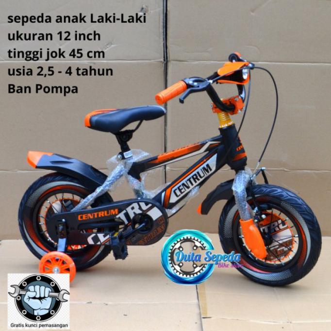 Jual Sepeda Anak Laki Laki 12 Inch Ban Besar Usia 3 - 5 Tahun Centrum ...