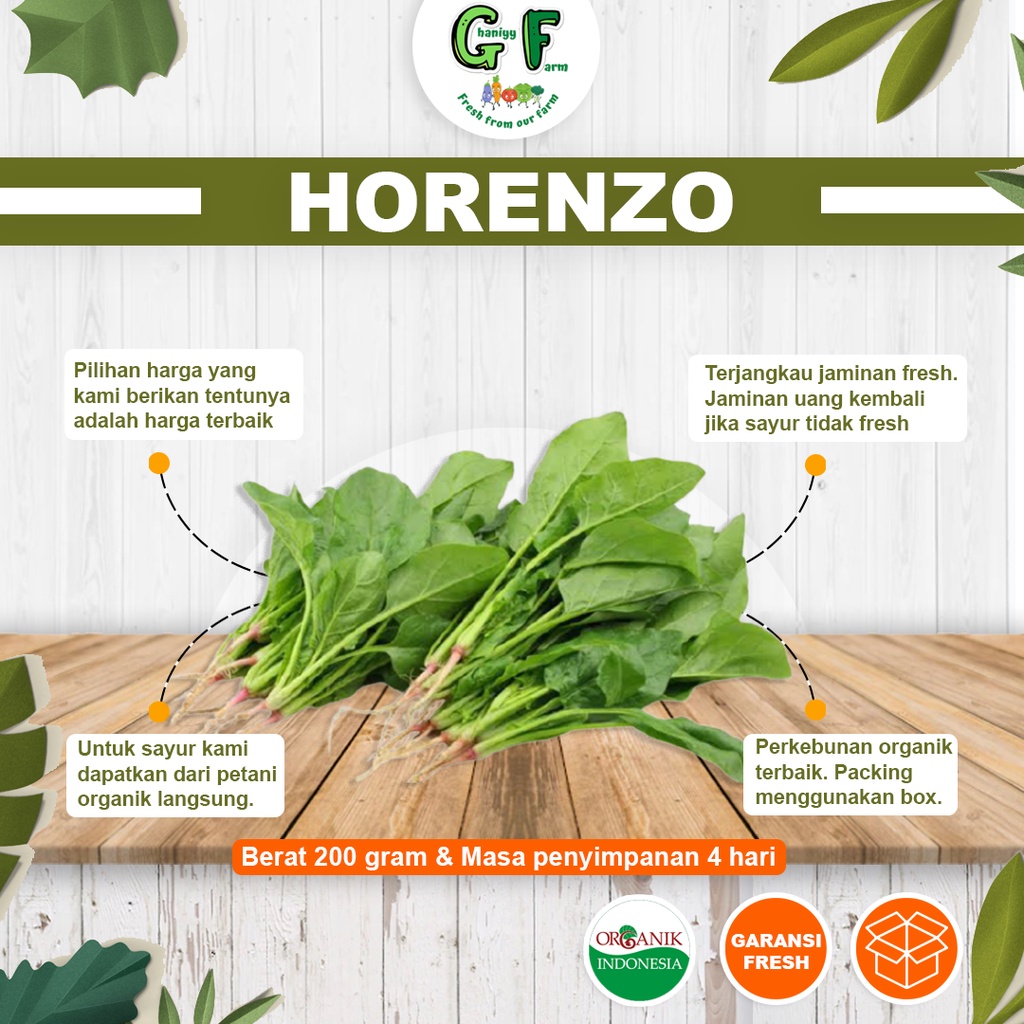 Jual Sayur Organik - Sayur Organik Poling Horenzo Bayam Jepang Daun ...
