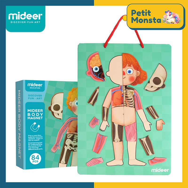 Jual Mideer Body Magnet - Mengenal Bagian Tubuh Manusia - Jigsaw Puzzle - Mainan Edukasi ...