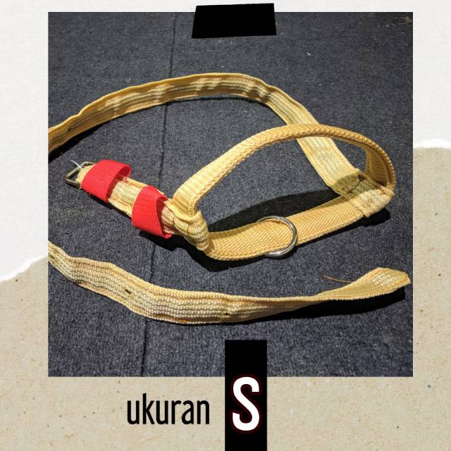 Jual Tali Tuntun Sapi, Head Halter, Brangus Sapi | Shopee Indonesia