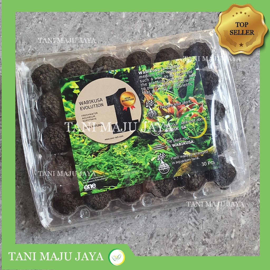 Jual Media Tanam Wabikusa Evolution 30 ball Aquarium Aquascape ...