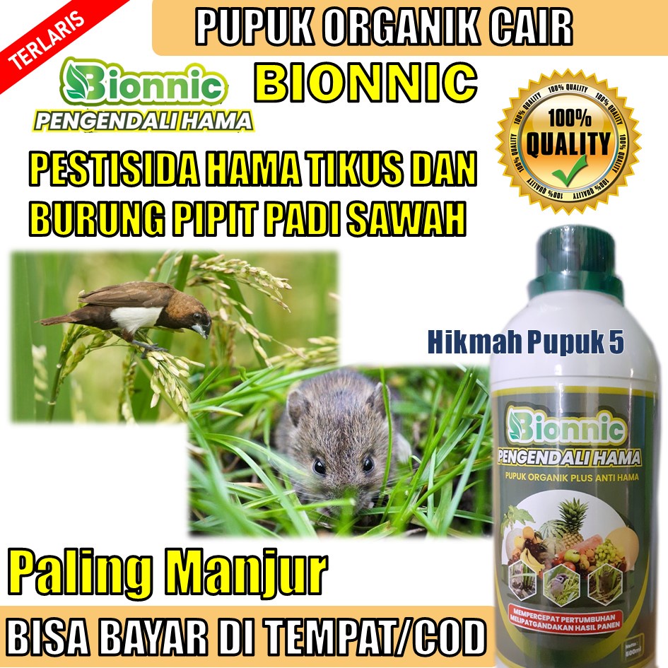 Jual READY STOK Pestisida Hama Tikus dan Burung Pipit Padi Sawah ...