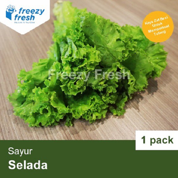 Jual Sayur Selada (1 Kilo) | Shopee Indonesia