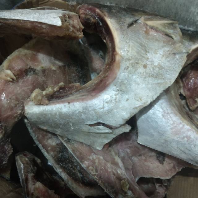 Jual RAHANG TUNA YFT isi 1-4 pcs per Kilogram | Shopee Indonesia