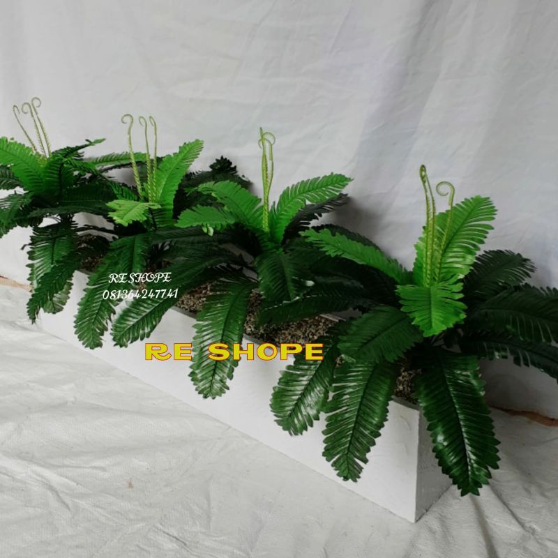 Jual partisi pakis/bunga hias/bunga plastik/pohon pembatas/dekorasi ...