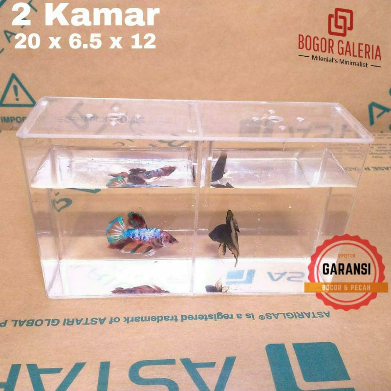 Jual AQUARIUM SOLITER AKRILIK | SOLITER CUPANG | AQUARIUM AKRILIK ...