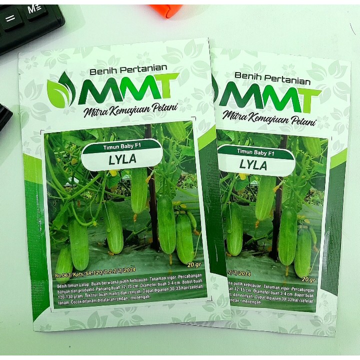 Jual Benih Timun Baby F1 Lyla MMT SEED | Shopee Indonesia