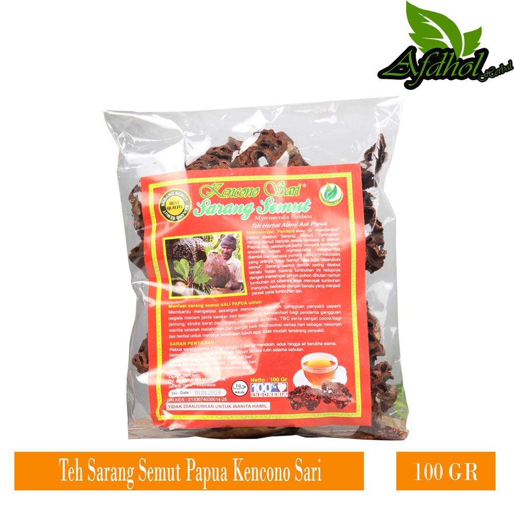 Jual Sarang Semut Papua | SARMUT Papua | Teh Sarang Semut Papua 100gr ...