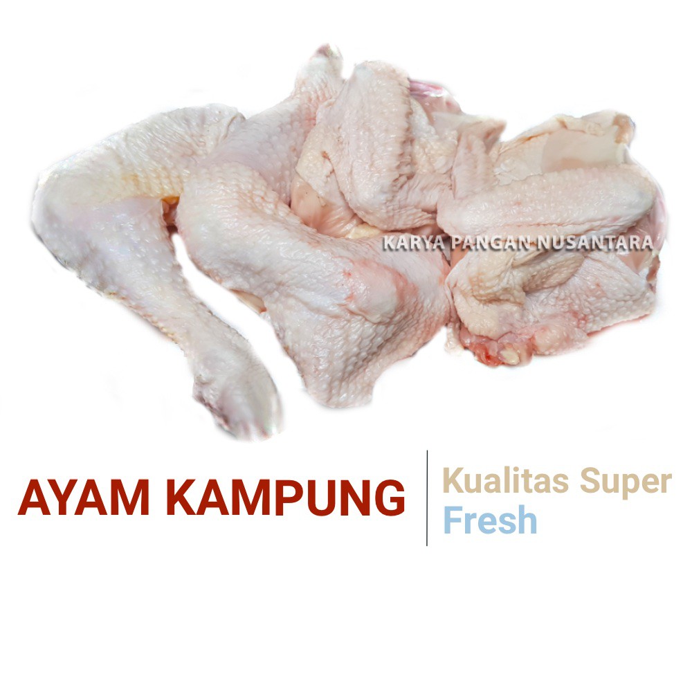 Jual Ayam Kampung /Ayam Kampung Paha Dada / Ayam Pejantan / Ayam Fresh ...