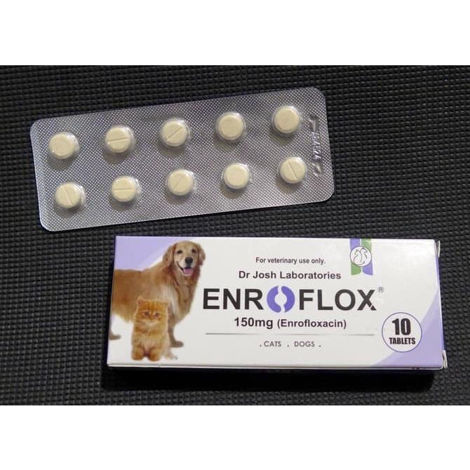 Jual TERMURAH Obat Flu pilek Flue Anjing Kucing Enroflox enrofloxacin ...