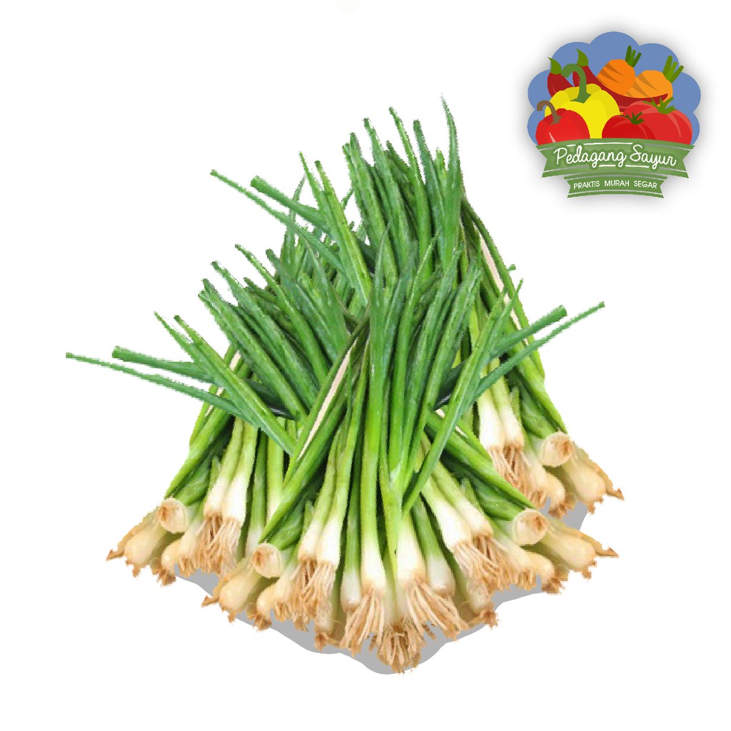 Jual Lokio - Per Ikat | Shopee Indonesia