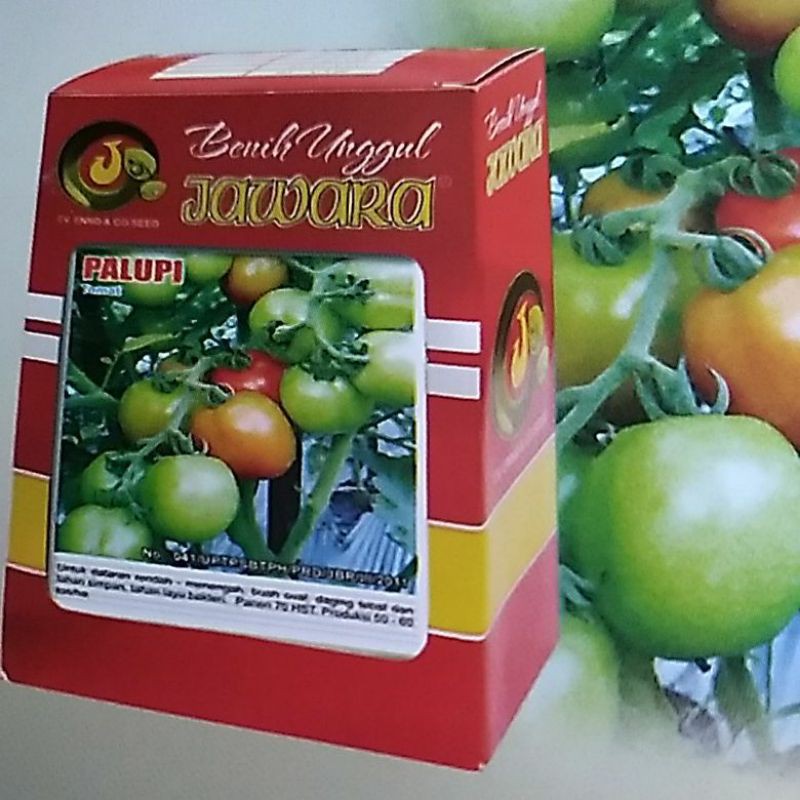 Jual Benih tomat palupi 5 gr | Shopee Indonesia