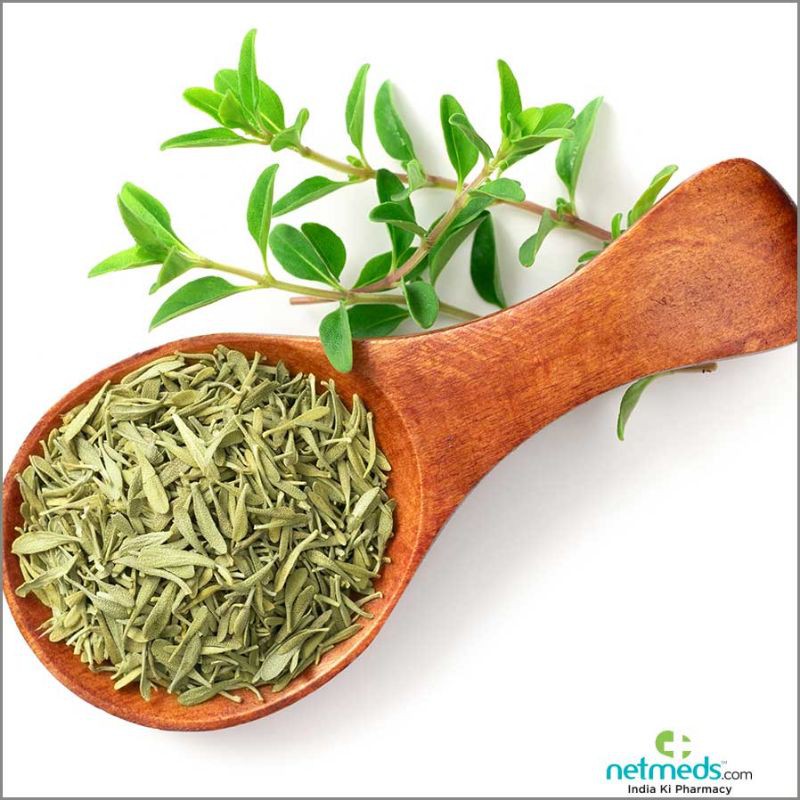 Jual Dried daun thyme leaves timi kering bumbu daging herbal herbs ...