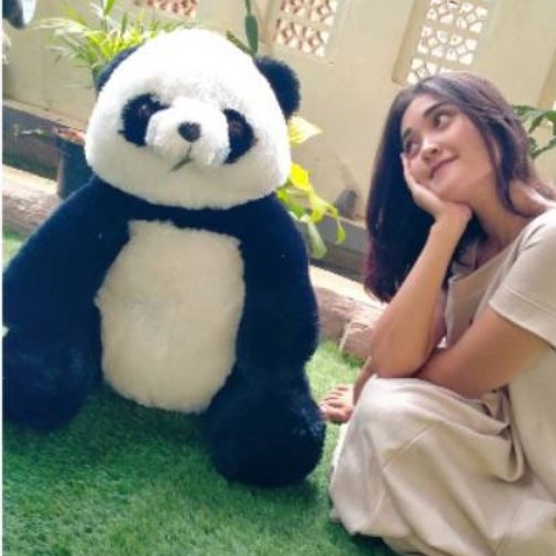 Jual Boneka Panda Jumbo Duduk Termurah | Shopee Indonesia