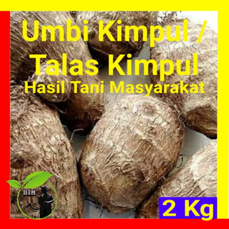 Jual *Ready* Umbi Kimpul /Talas Kampung /Talas Kimpul - 2 Kg - Hasil ...