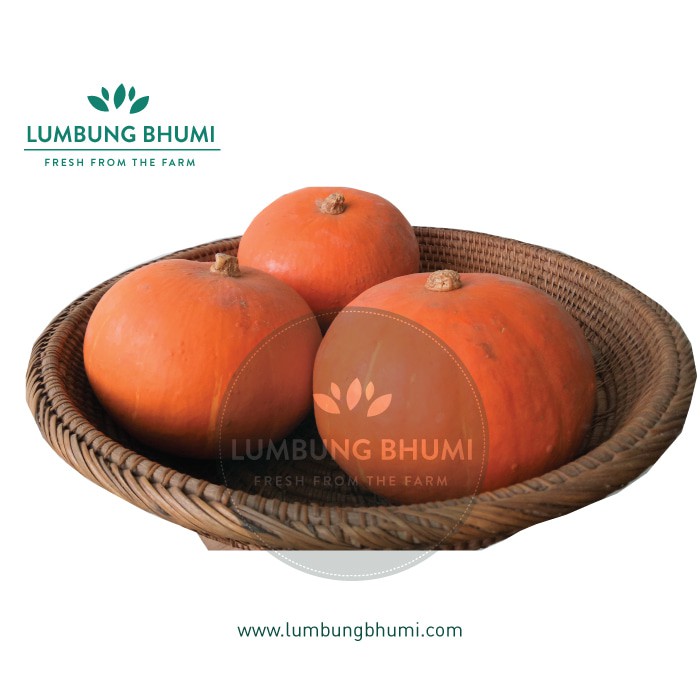 Jual Lumbung Bhumi - Kabocha Kuning 500 Gr ( Sayur Curah ) | Shopee ...