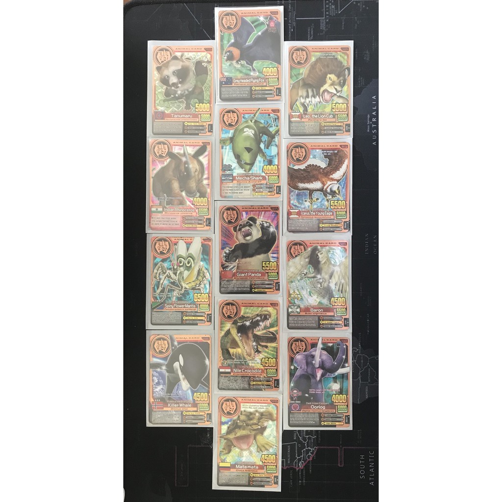 Jual Kartu Animal Kaiser Bronze Rare Animal Card 100%ori BANDAI NAMCO (pcs) | Shopee Indonesia