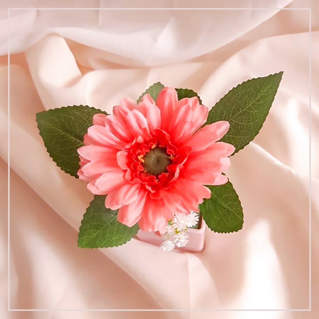 Jual SINGLE PINK ASTER IN A VASE | BUNGA VAS -- FLOWER IN VASE | ASTER ...