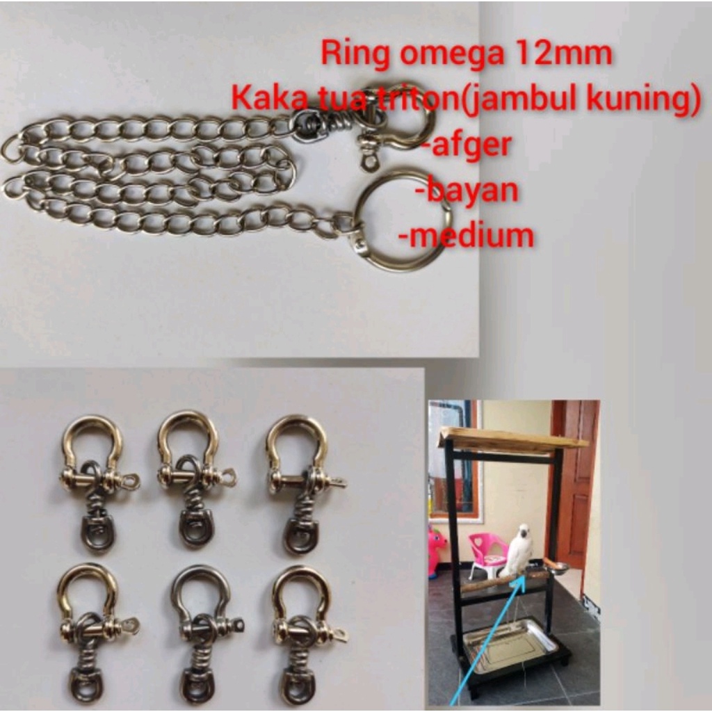 Jual Set rantai kakatua/ring omega 12mm | Shopee Indonesia