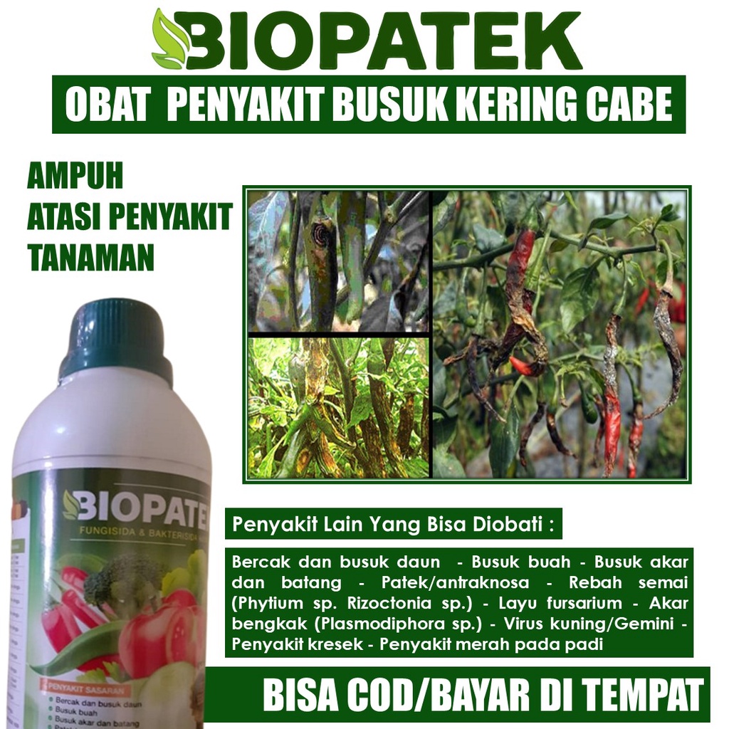 Jual [500 ml] BIOPATEK 500 ml Obat Busuk Buah Cabe / Cabai Paling ...