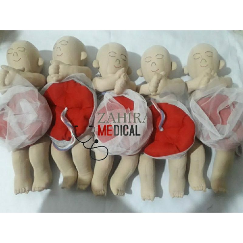 Jual PHANTOM MANIKIN / MANEKIN BAYI PLASENTA | Shopee Indonesia