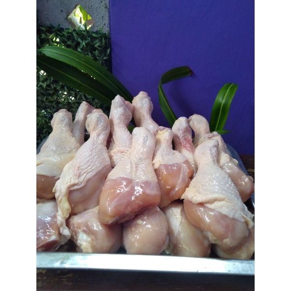 Jual PAHA PENTUNG UPINIPIN FRESH /CHICKEN DRUM STICK /PAHA BAWAH ...