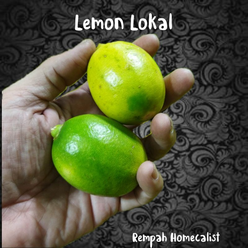 Jual Lemon Lokal Segar | Shopee Indonesia