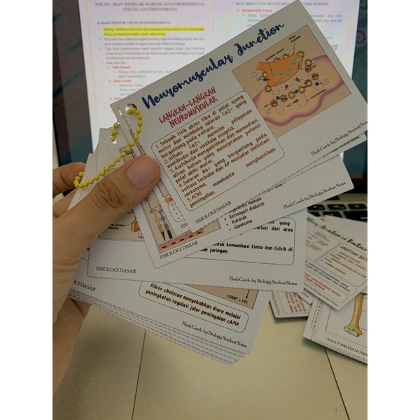 Jual Flashcards Biologi by Biology Student Notes | Shopee Indonesia