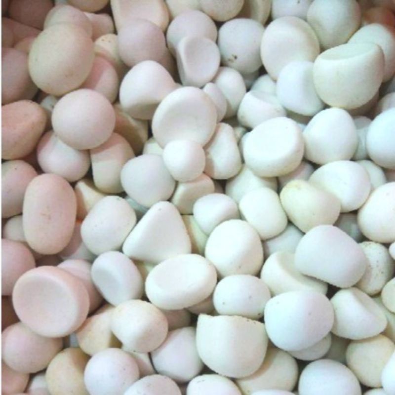 Jual Promo obral batu tidar termurah/kentos kelapa great C kondisi ...