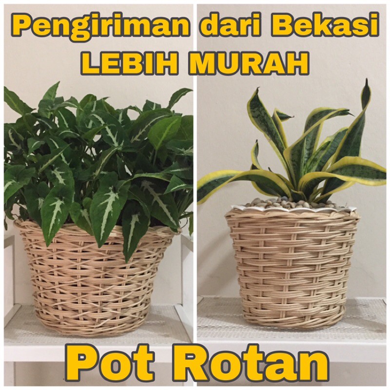 Jual Cover Pot Tanaman Hias Rotan Anyaman Vas Bunga Etnik Tradisional ...