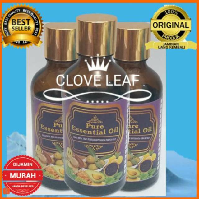 Jual CLOVE LEAF OIL100 ML //MINYAK CENGKEH 100 ML | Shopee Indonesia