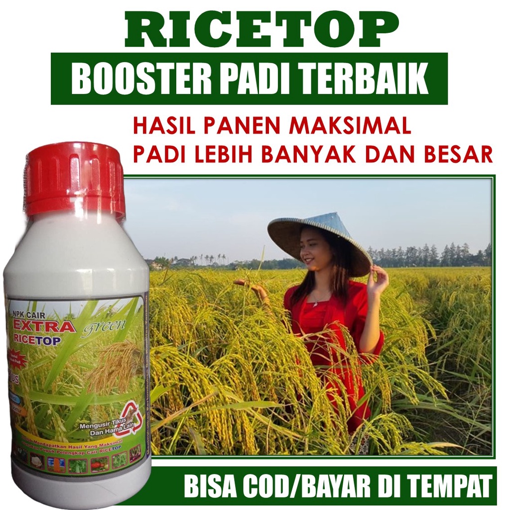 Jual (CEPAT PANEN) RICETOP 500 ML - Pupuk Booster Penambah Bobot Padi Atasi Bulir Kosong Padi ...