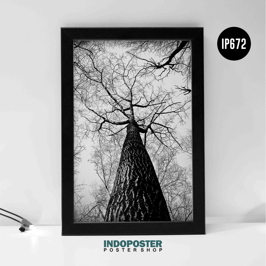 Jual Poster Hiasan Dinding Tree Branch Ranting Pohon Monochrome ...