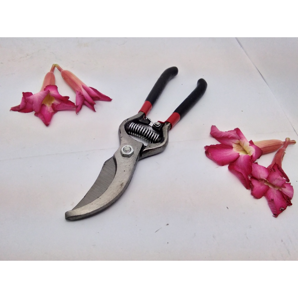 Jual Gunting Kebun Taman / Gunting ranting / Gunting dahan kembang dan ...