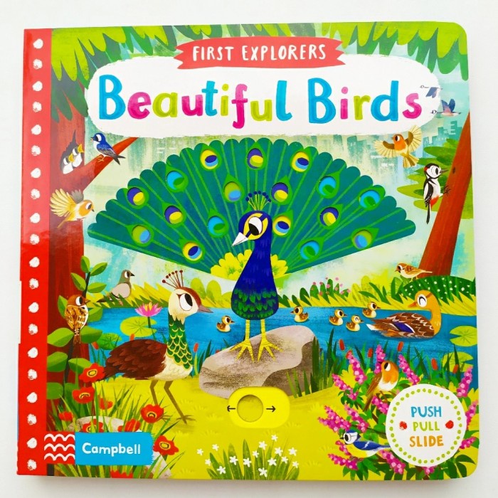 Jual Campbell First Explorers Beautiful Birds (Push Pull Slide Board ...