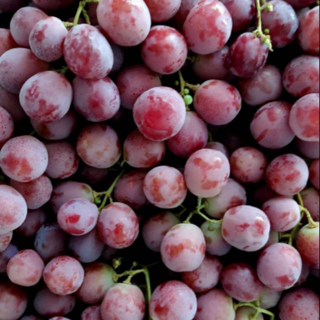 Jual Anggur Red Globe Australia 1Kg | Shopee Indonesia